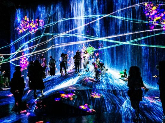Mori Building Digital Art Museum: EPSON teamLab Borderless – Jalan ...