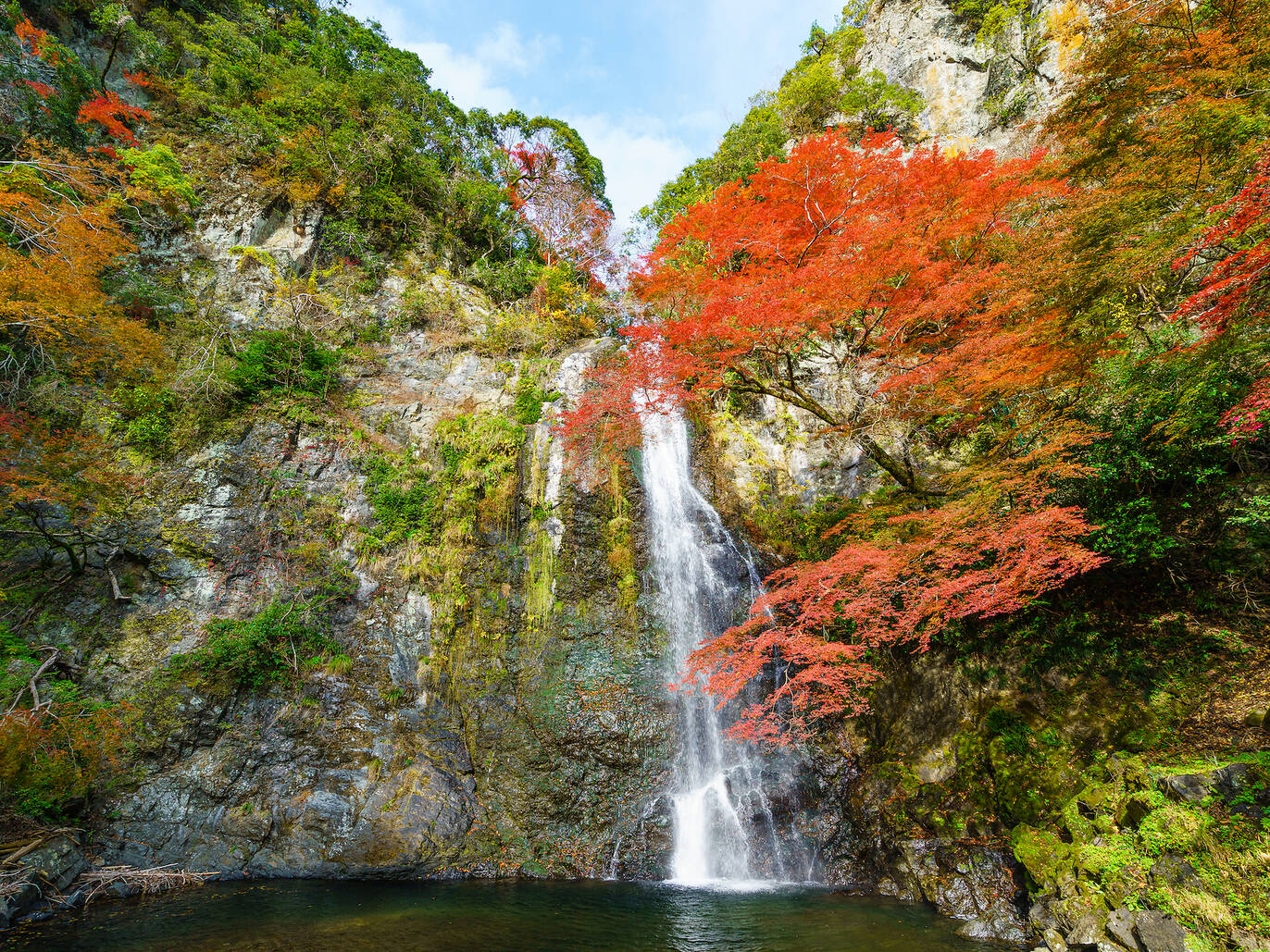 Dari Kyoto Hingga Aomori: Ini Dia 5 Destinasi Wisata Musim Gugur ...